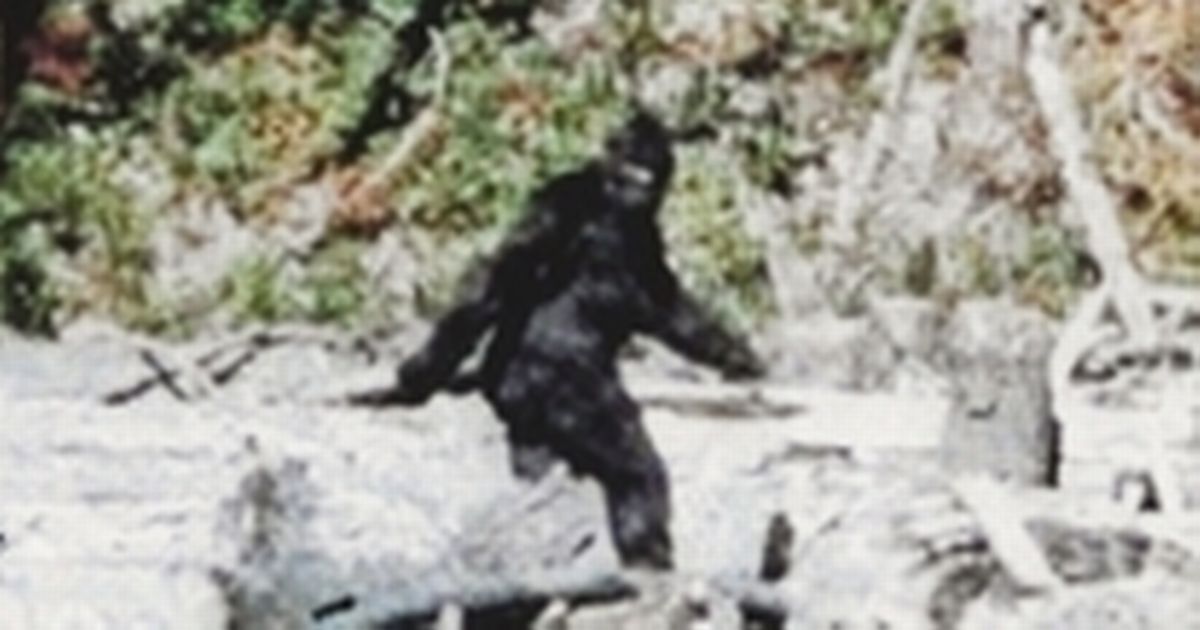 Five Bigfoot theories analysed - and the one that…