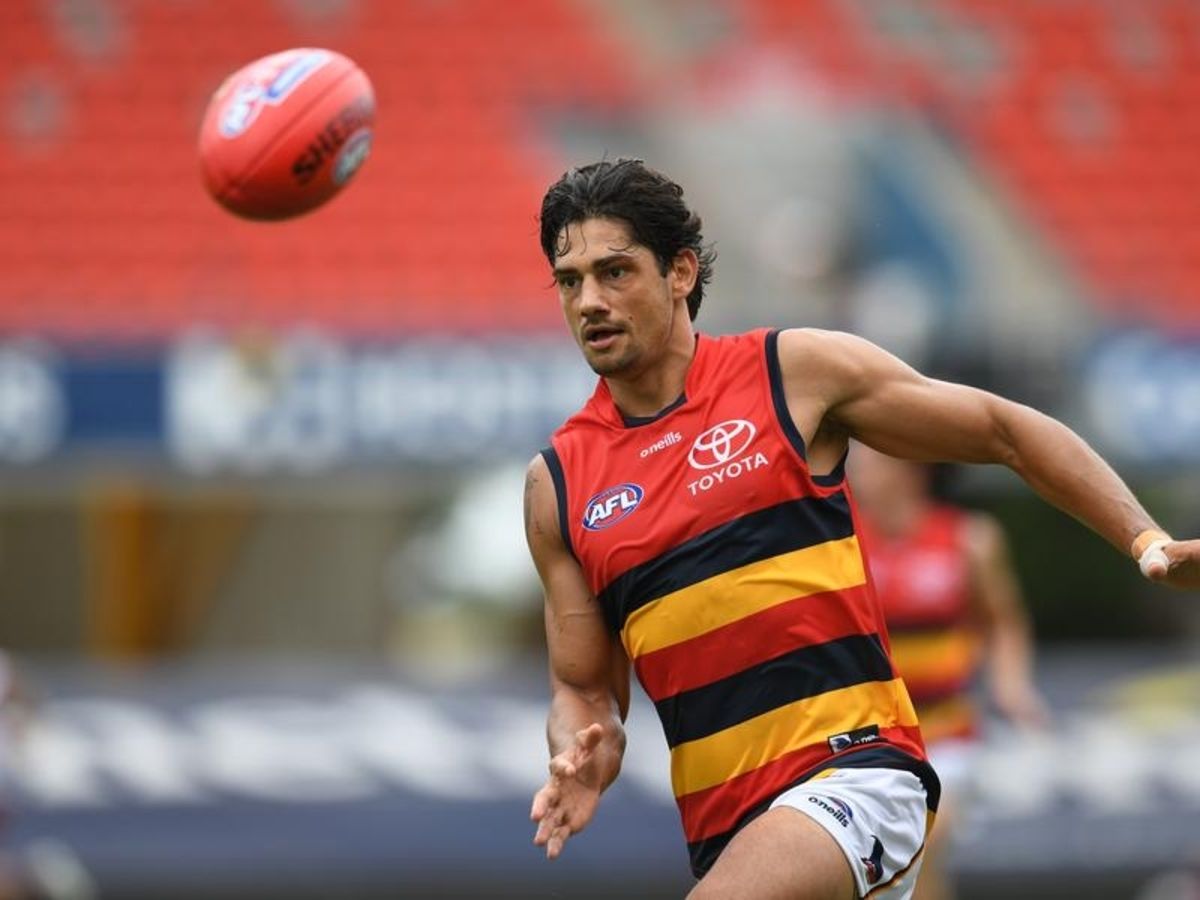 Adelaide's McAdam sent to AFL tribunal over bump