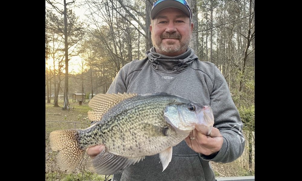 Georgia angler’s catch of giant crappie stuns…