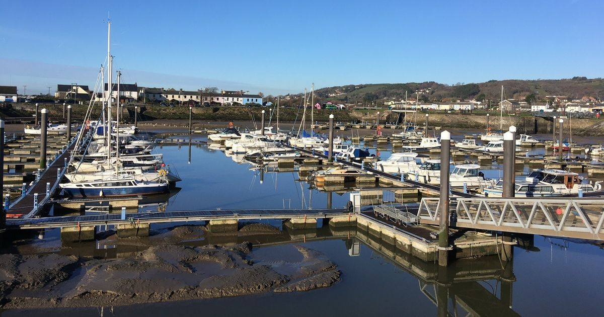 Boss of company running Burry Port harbour says 'we…