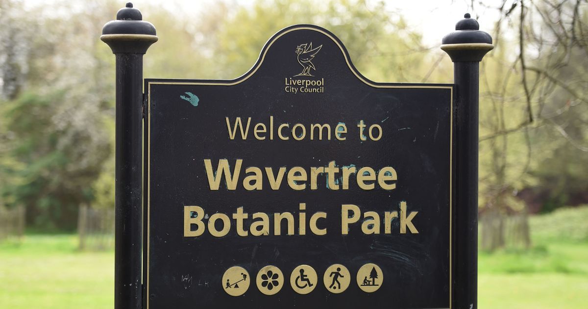 Liverpool County FA say 'no official reports' of…