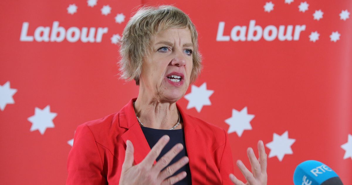 Labour leader Ivana Bacik calls for one million homes…