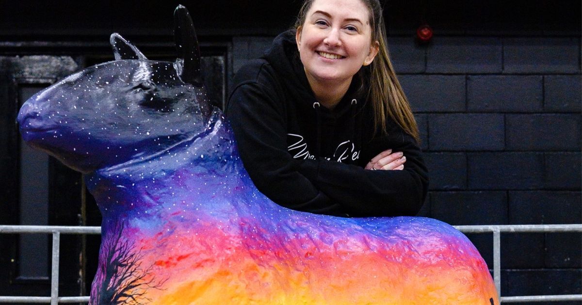 Artist Megan Reilly's designs feature in sheep art…
