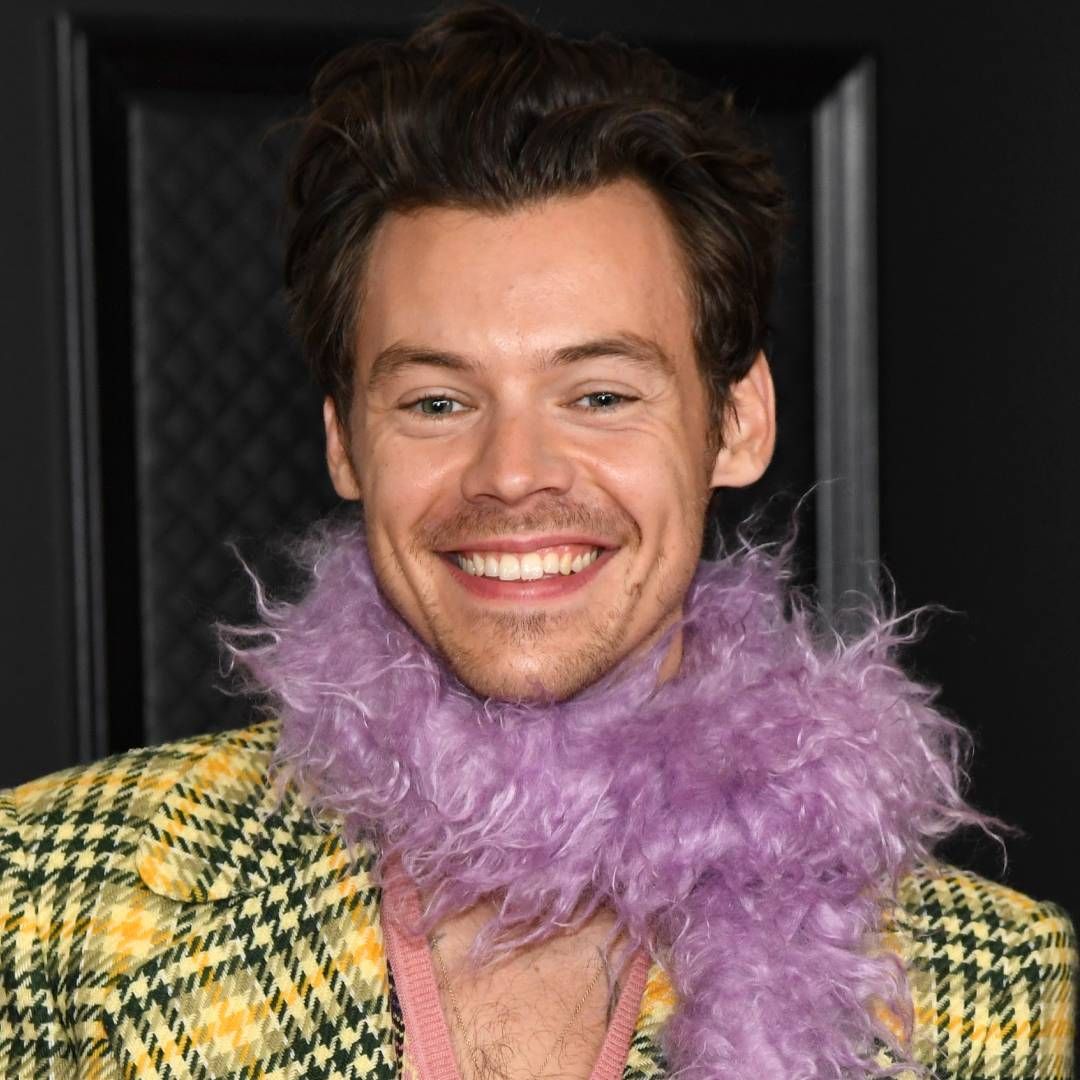 A video of Emily Ratajkowski and Harry Styles kissing…