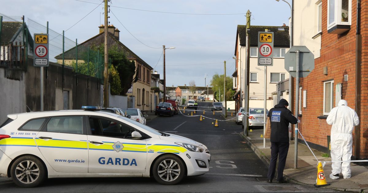 Two men who suffered severe stab wounds in Limerick…