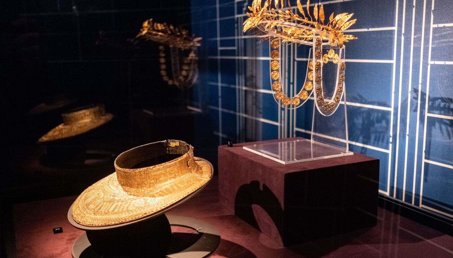 ‘Against all odds’: Field Museum explains evolution of…