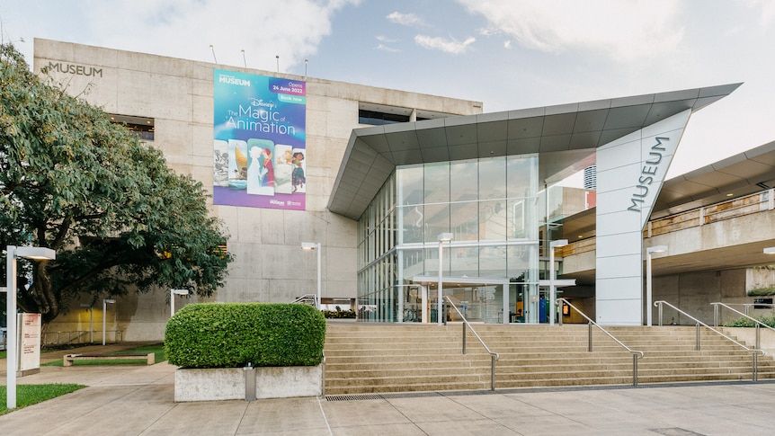 Queensland Museum taxidermist acquired Q Fever…