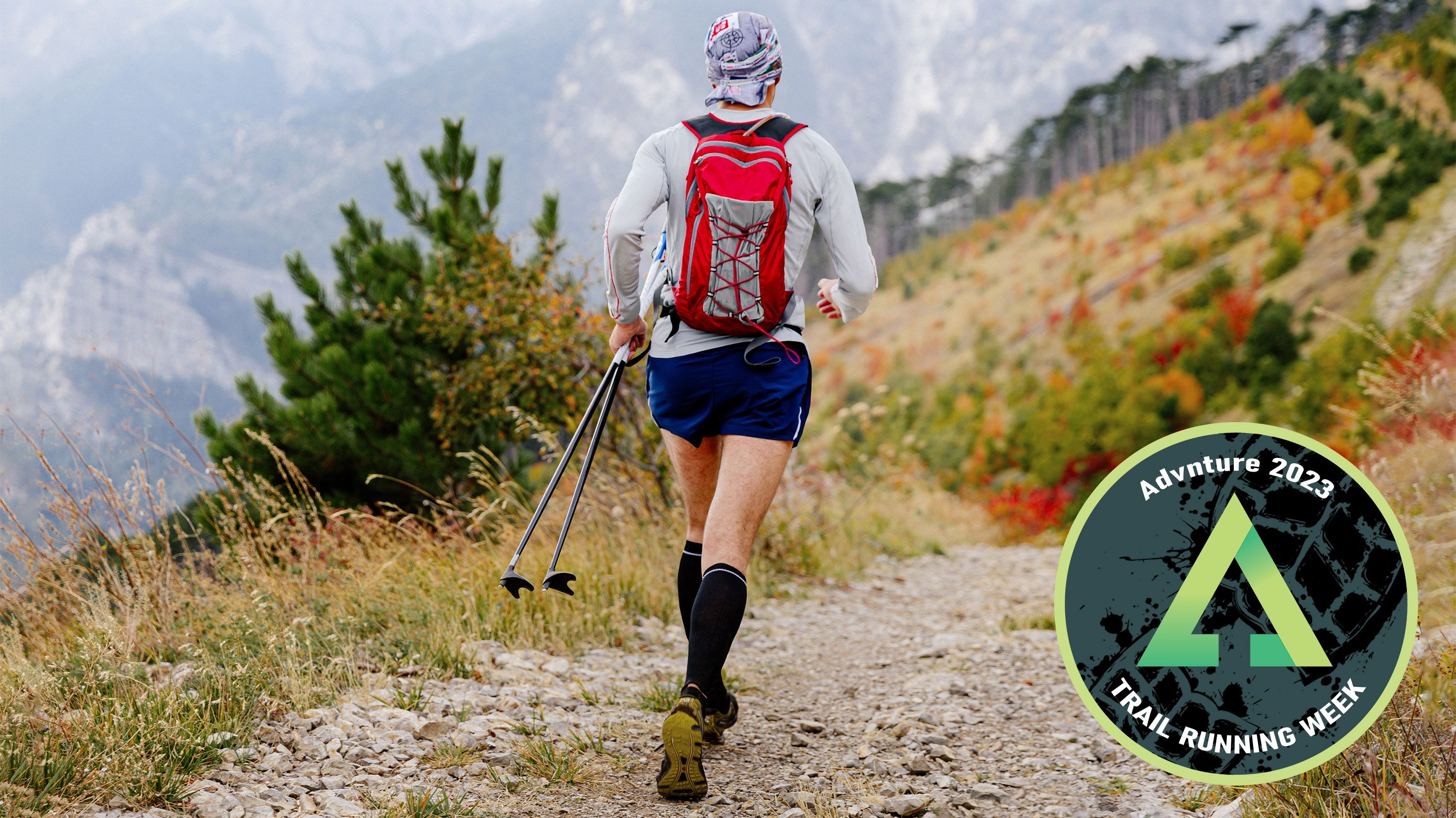 Trail running with poles – how they can help you go…