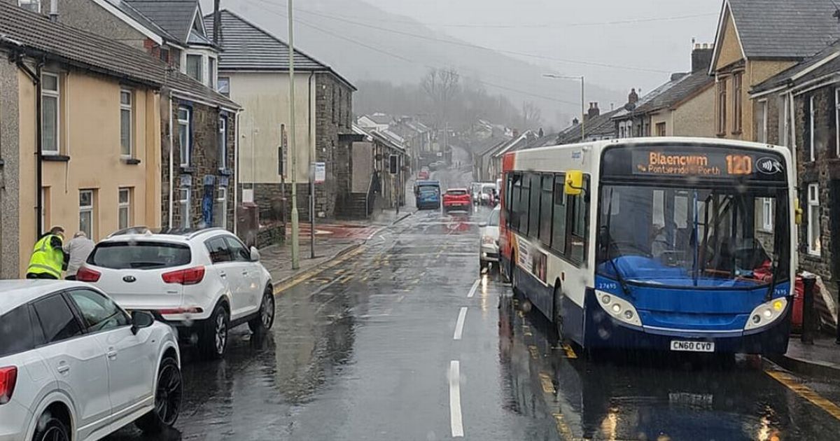 People 'super emotional' after driver stops bus to…