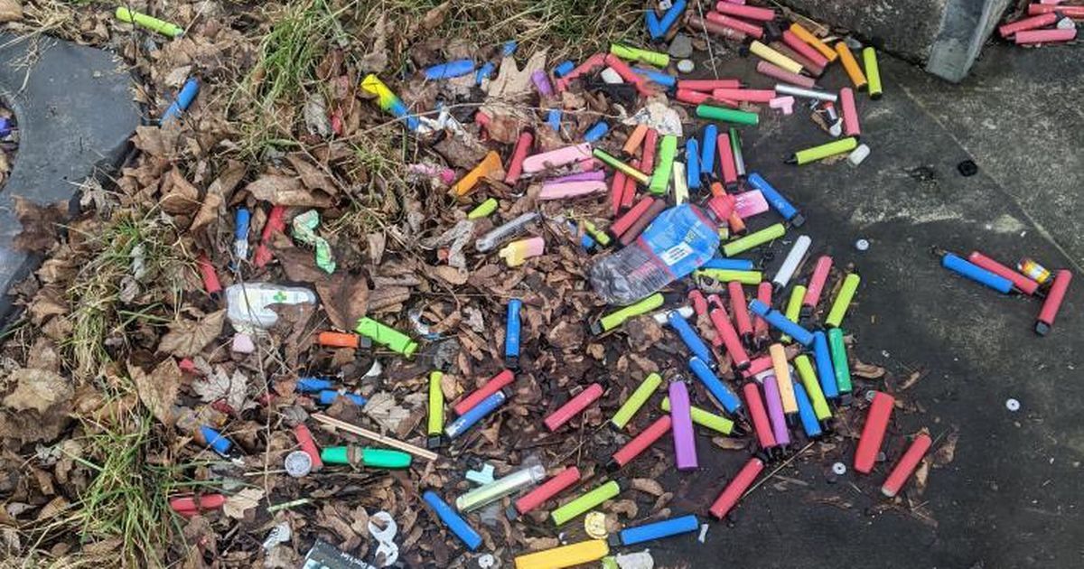 Falkirk becomes fifth Scottish council to call for ban…