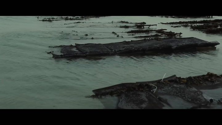 God’s Creatures movie review: Paul Mescal and Emily…