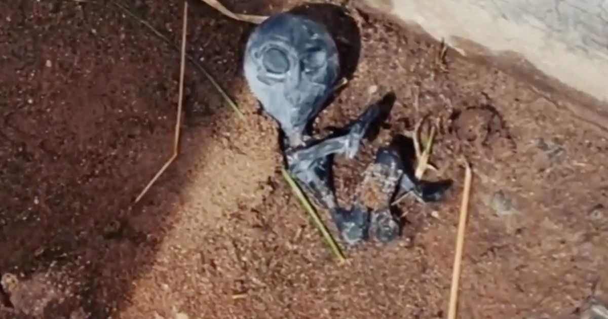 Villagers claim baby alien died after UFO landing…