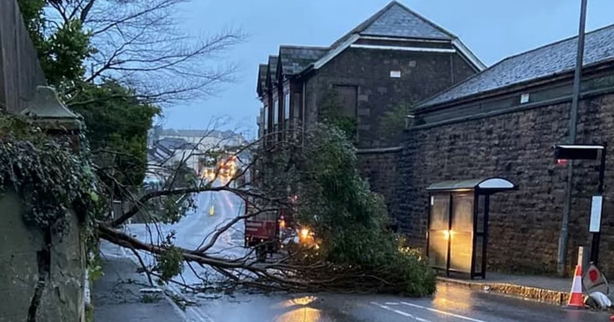 Storm Mathis hits UK with 100mph winds as trees topple…