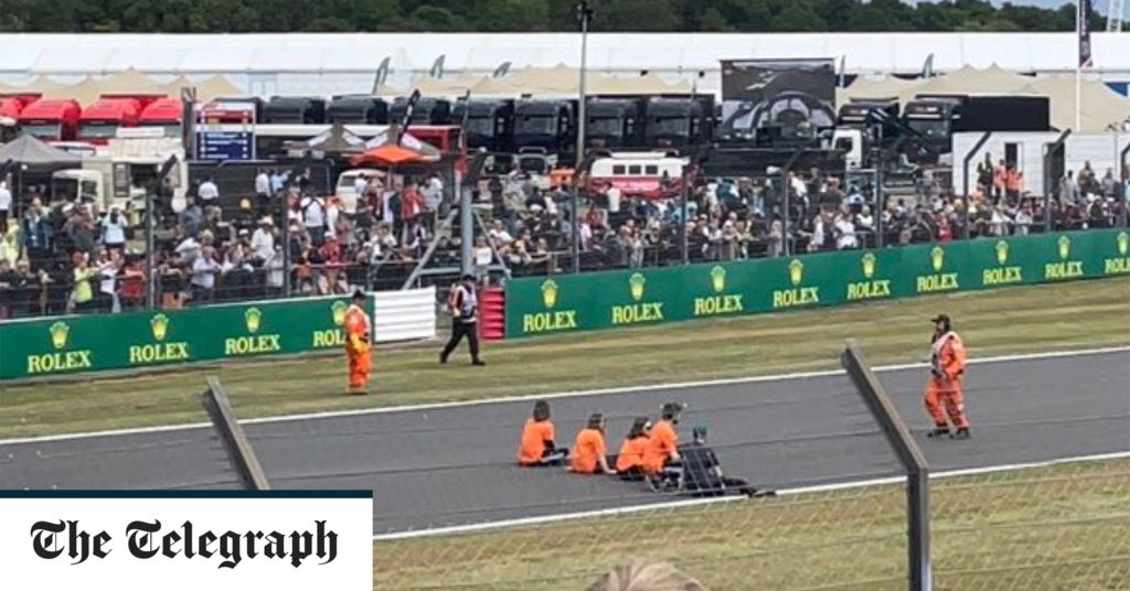 Just Stop Oil protesters spared jail over Silverstone…