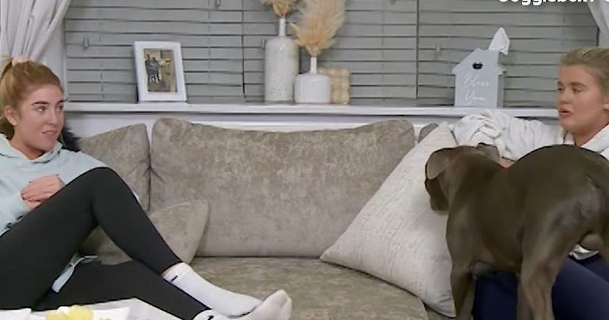 Gogglebox fans stunned as Abbie and Georgia don't know…