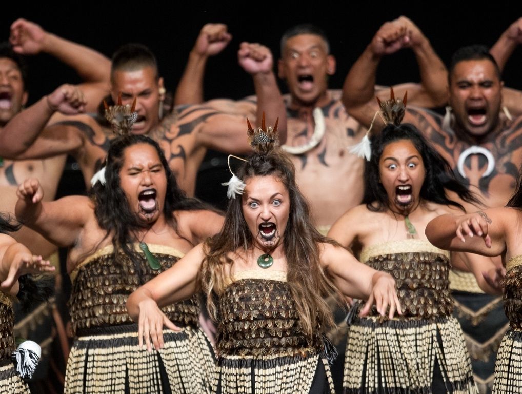 Alan Duff: Maori must help Maori to fly high