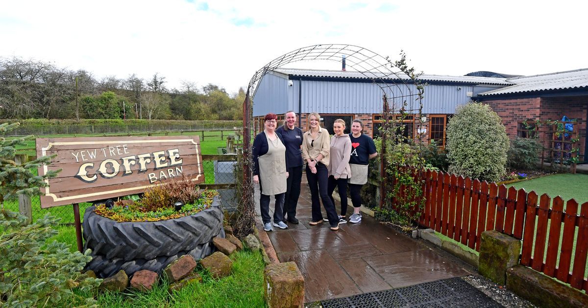 'Magical' farm that people travel miles to visit is…