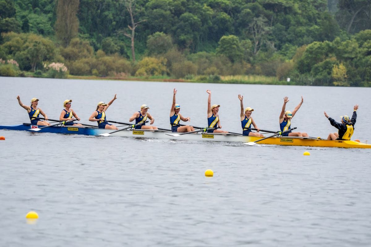 Gold stripes of Rangi Ruru hot property at Maadi