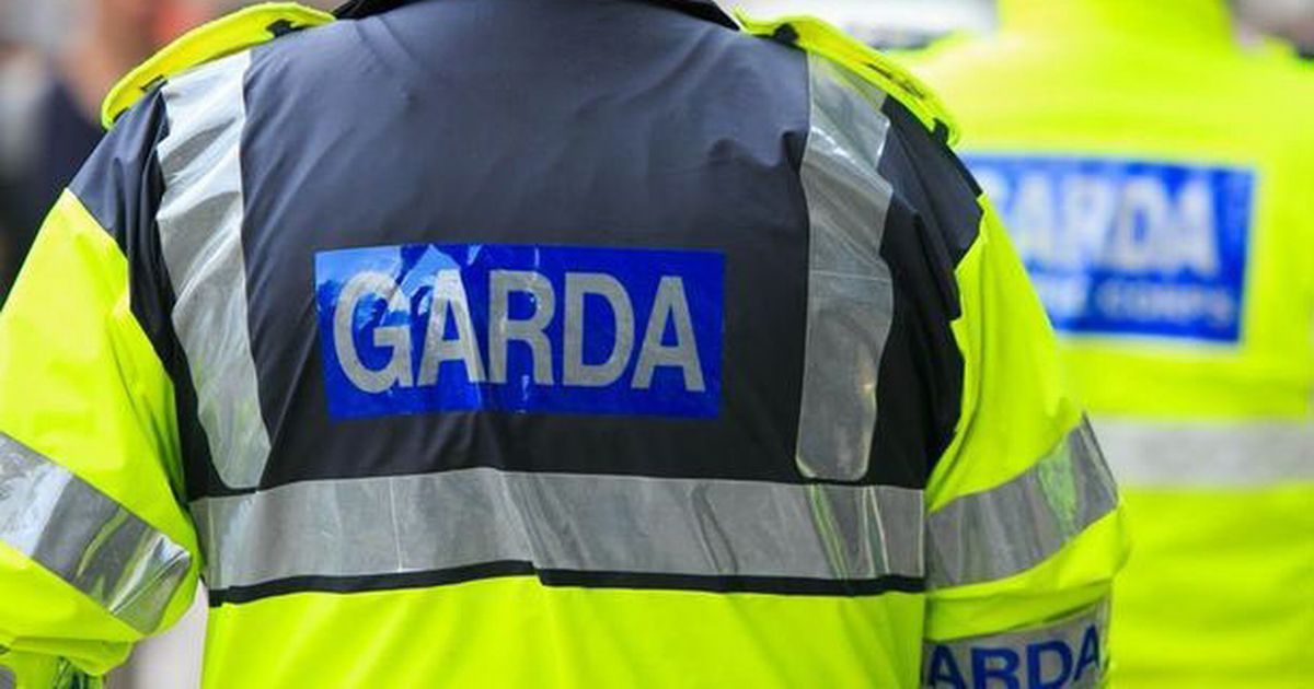 Gardai call for transgender rules to be axed until…