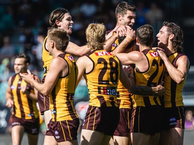 Brave Hawks deserved to beat Kangaroos: Mitchell