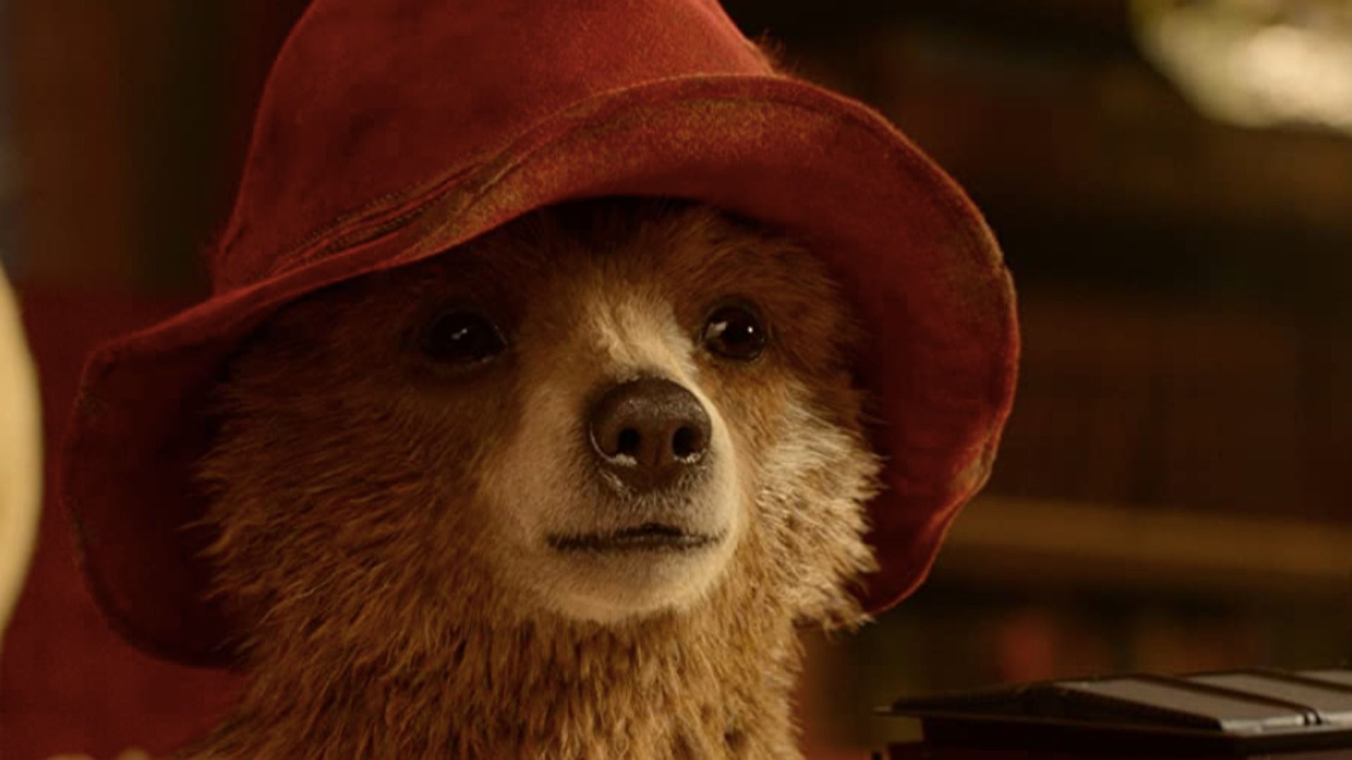 Paddington 3: Everything we know so far, including…
