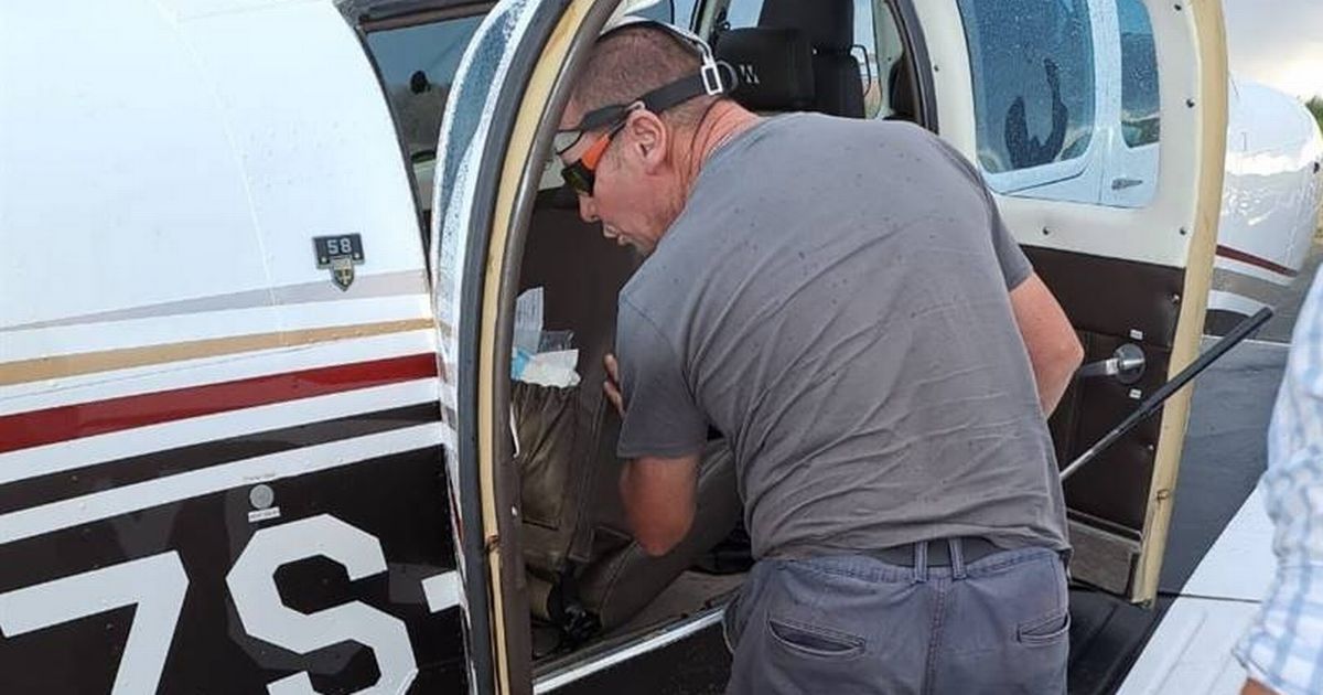 Deadly cobra in plane cockpit slithers up pilot's…
