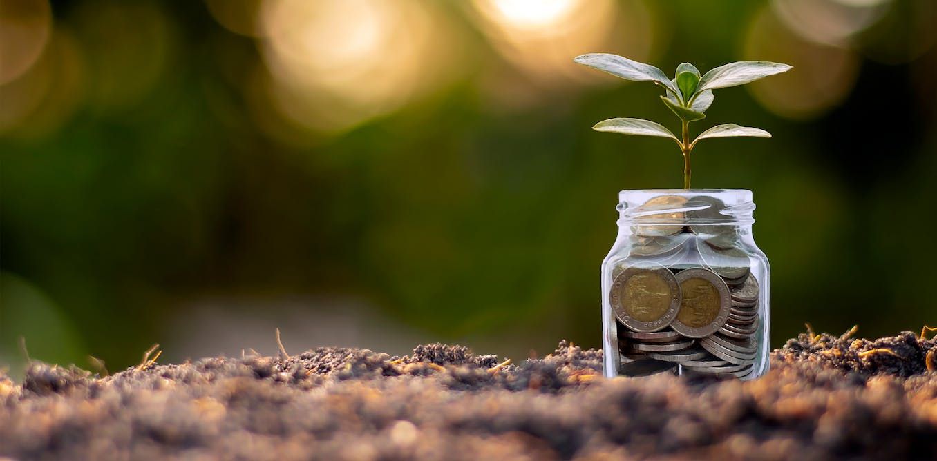 Can a ‘nature repair market’ really save Australia’s…