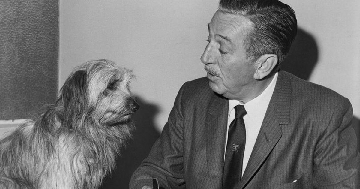 Disney's Greyfriars Bobby star to be laid to rest in…
