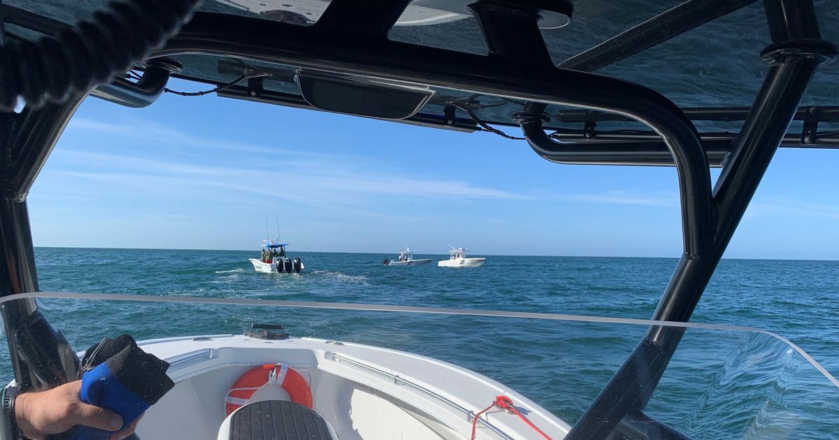 Florida plane crash: Four killed as aircraft plunges…