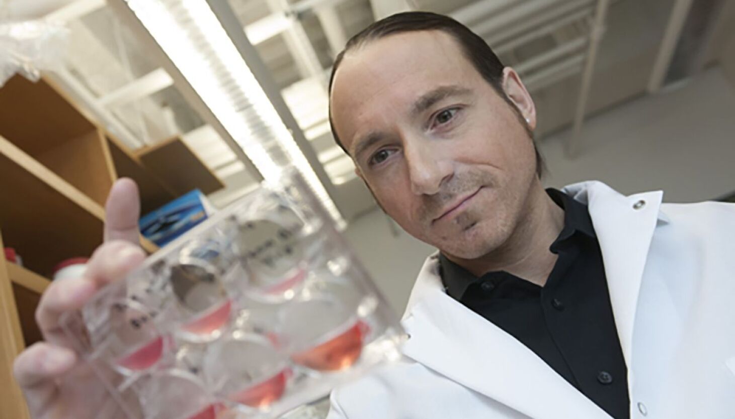 Longevity study points to why some live to be over 100…