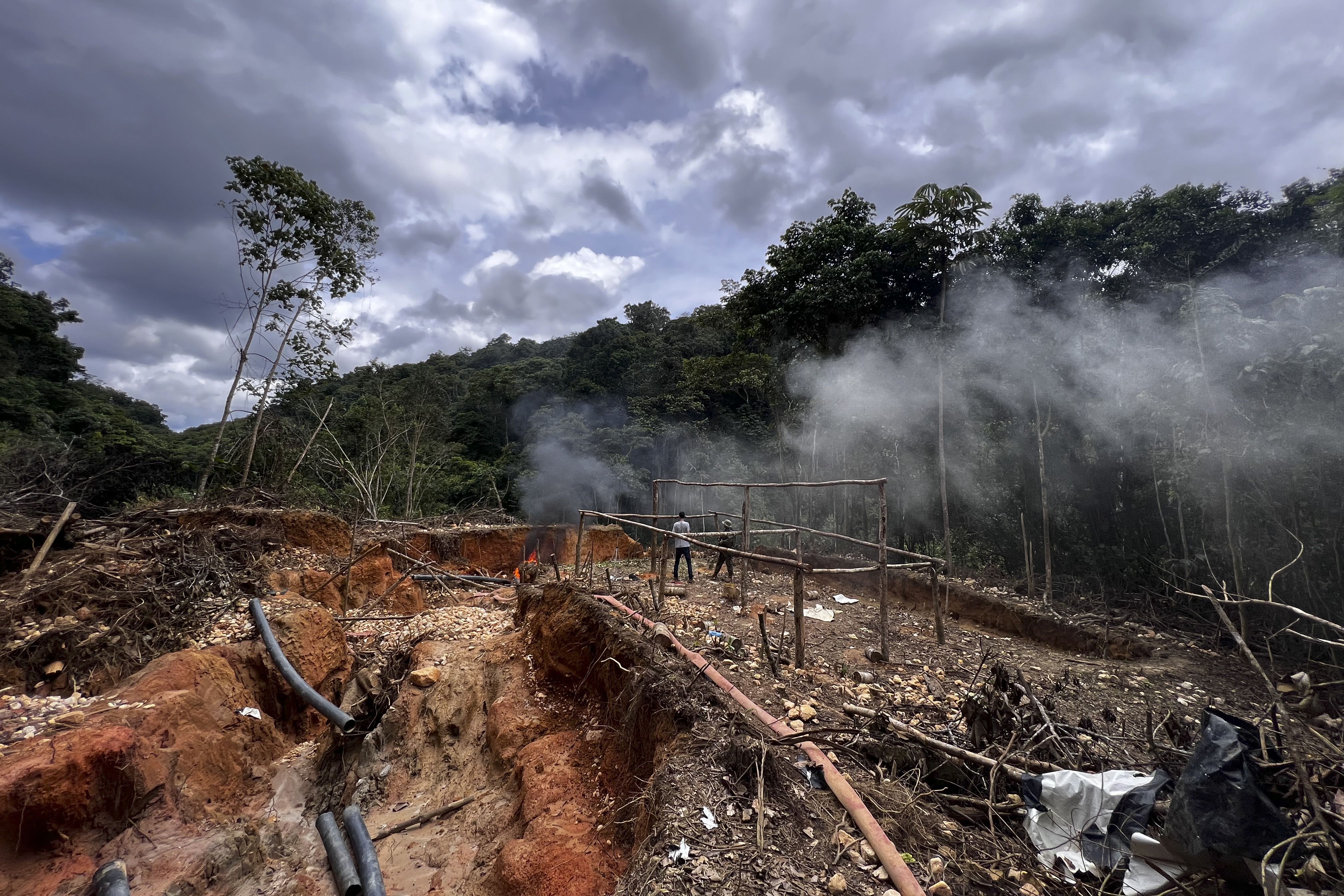 Lula government struggles to rein in deforestation in…