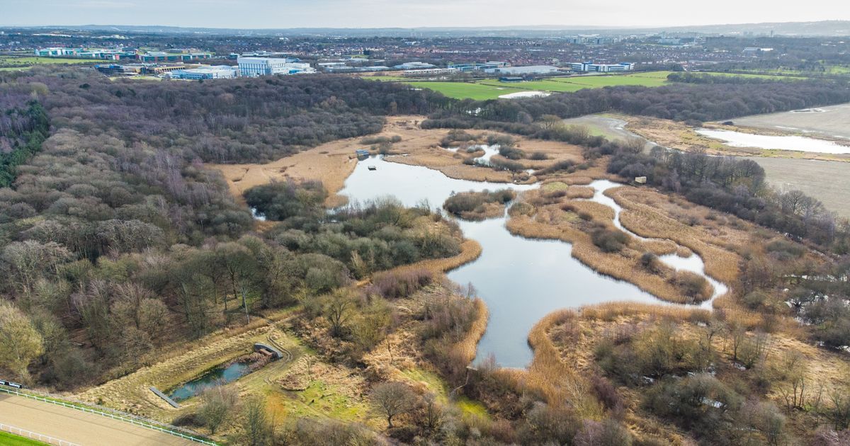 I visited the nature reserve three miles from…