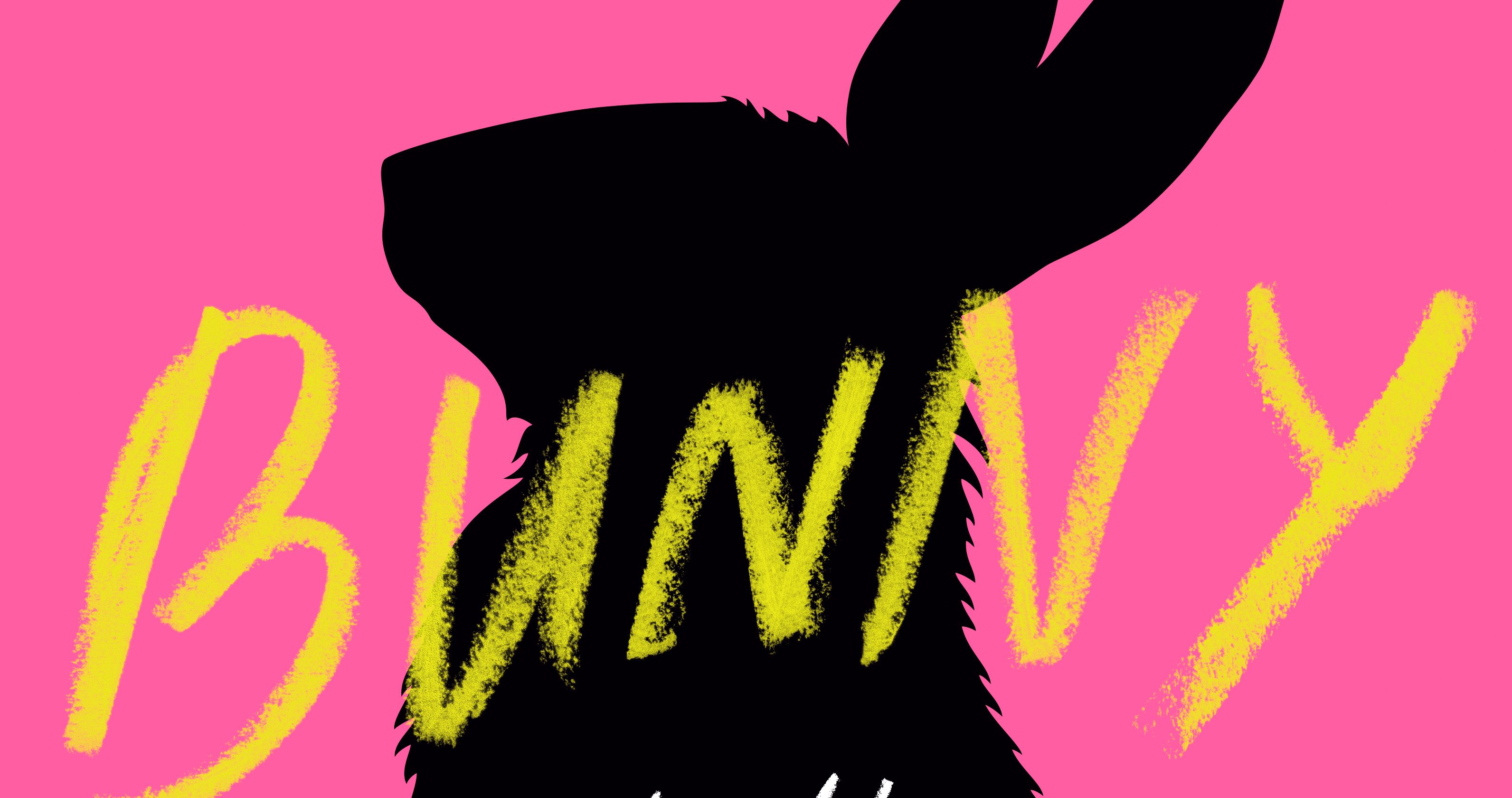 What Is Bunny, And Why You Should Care That It's…