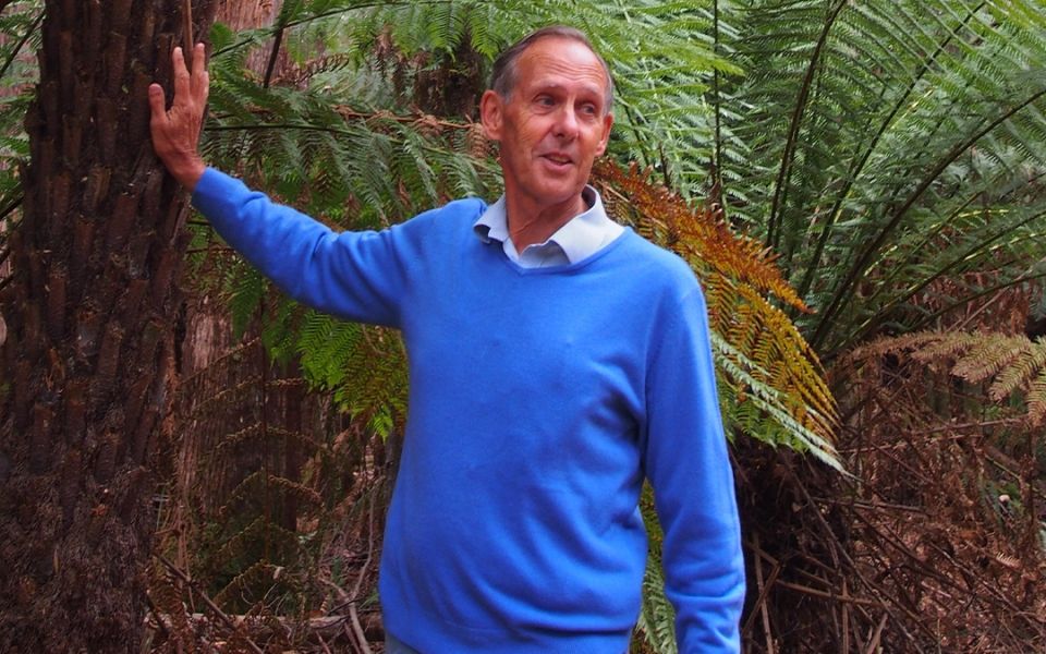 ‘Something in the air’: Father of the Greens Bob Brown…