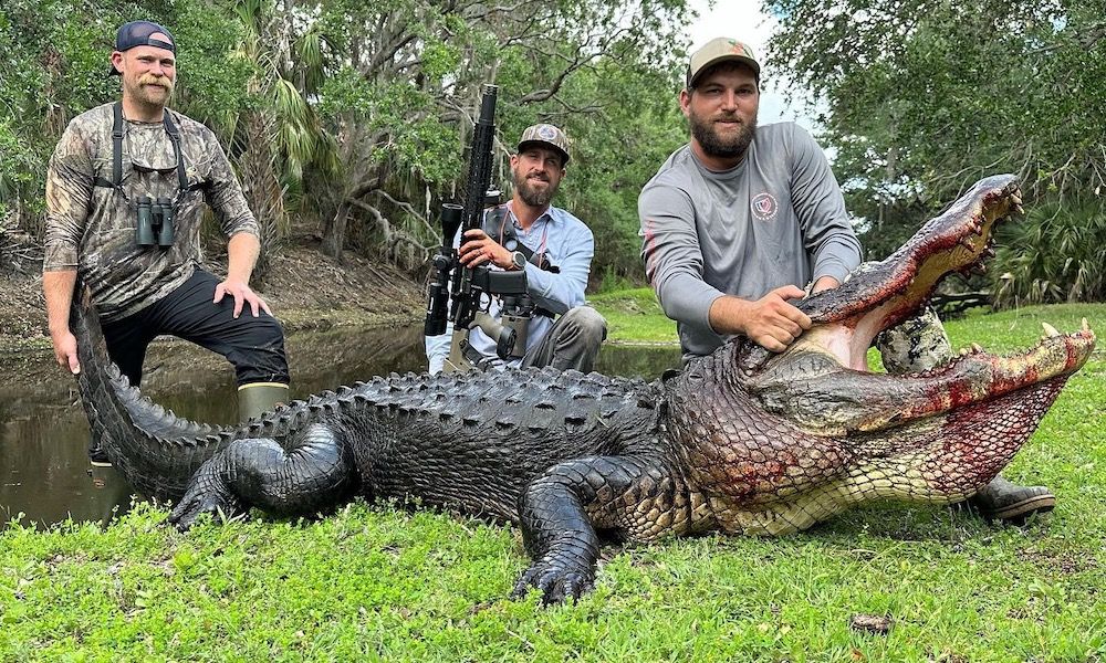 ‘Once in a lifetime beast’ hunted down before it…