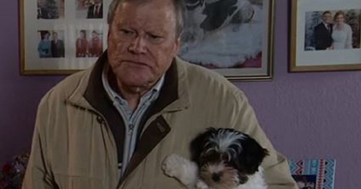 Corrie fans in love with soap's new dog as he steals…