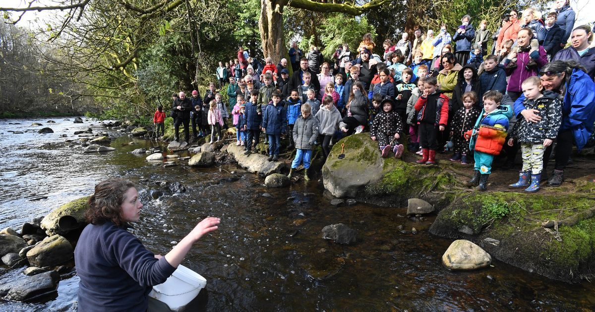 Water great day as kids watch their their fish…