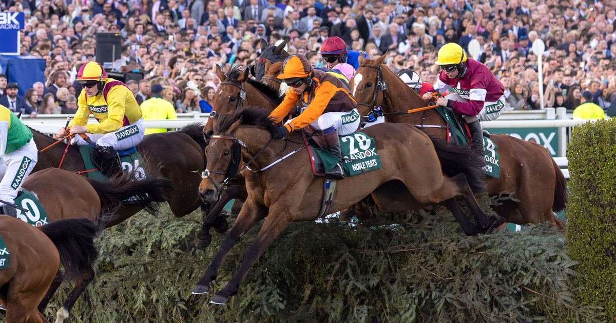 Grand National sweepstake kit 2023: Print free guide…