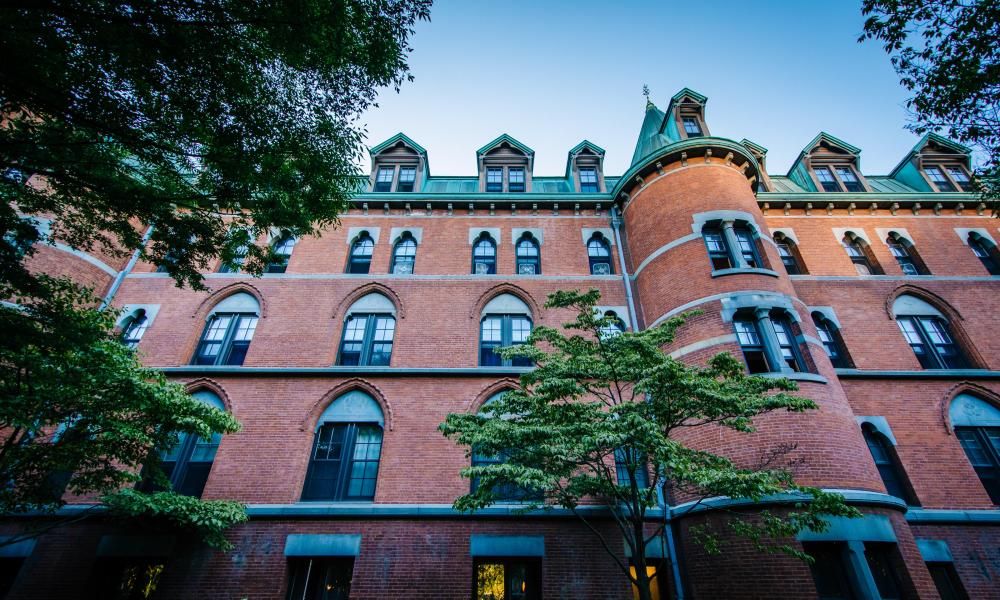 The Best Minds by Jonathan Rosen review – when hope…