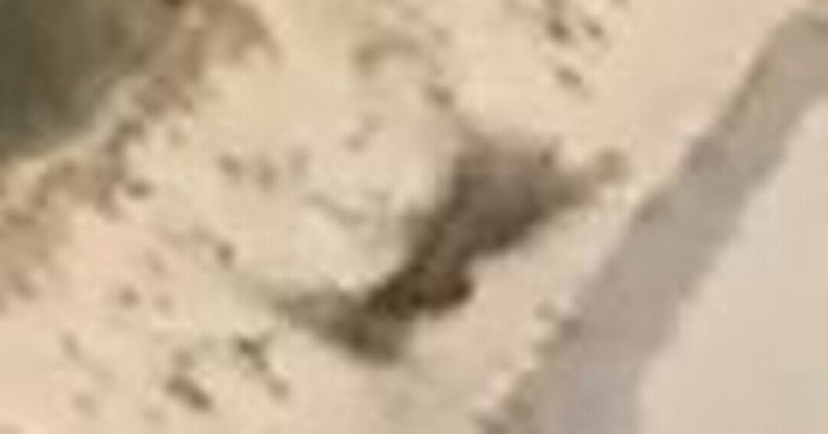 Video shows moment World War Two bomb is blown up on…