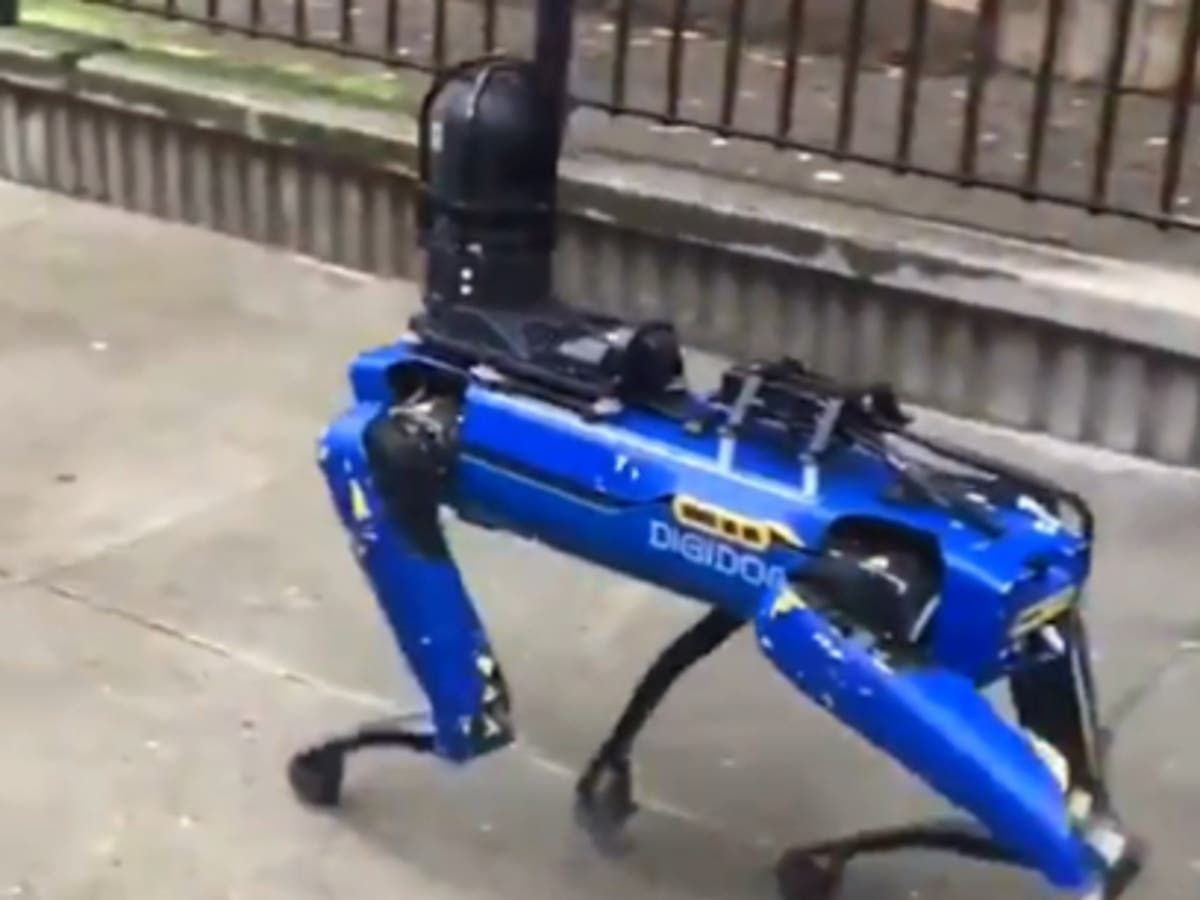 RoboCop? No, RoboDog: Robotic dog rejoins New York…