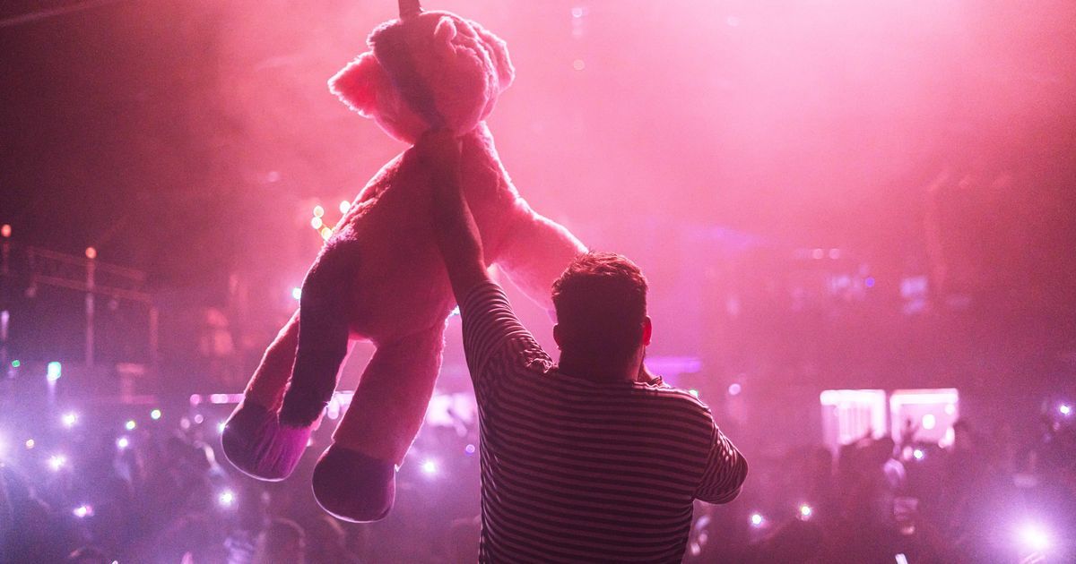 Edinburgh set for return of Bongo's Bingo with Night…