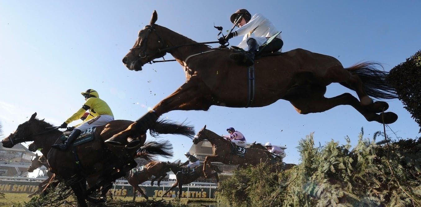 Grand National protests: Animal Rising campaigners…