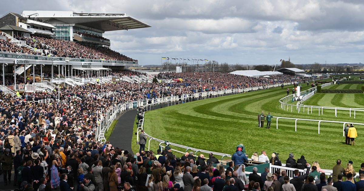 Grand National protest planned as activists bid to…