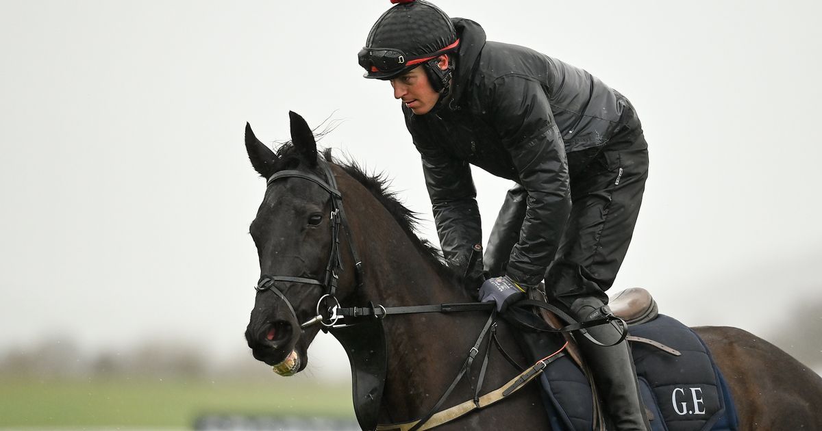 Grand National horse-by-horse runners guide as Delta…