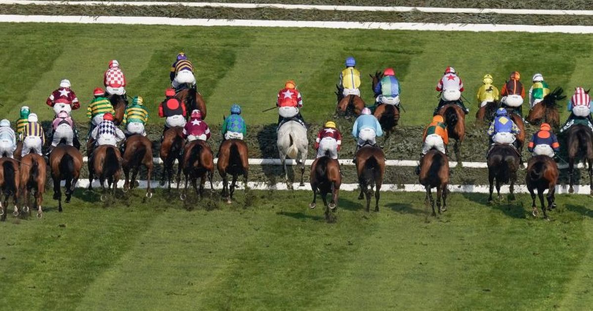 Hill Sixteen named after hill at Croke Park dies in…