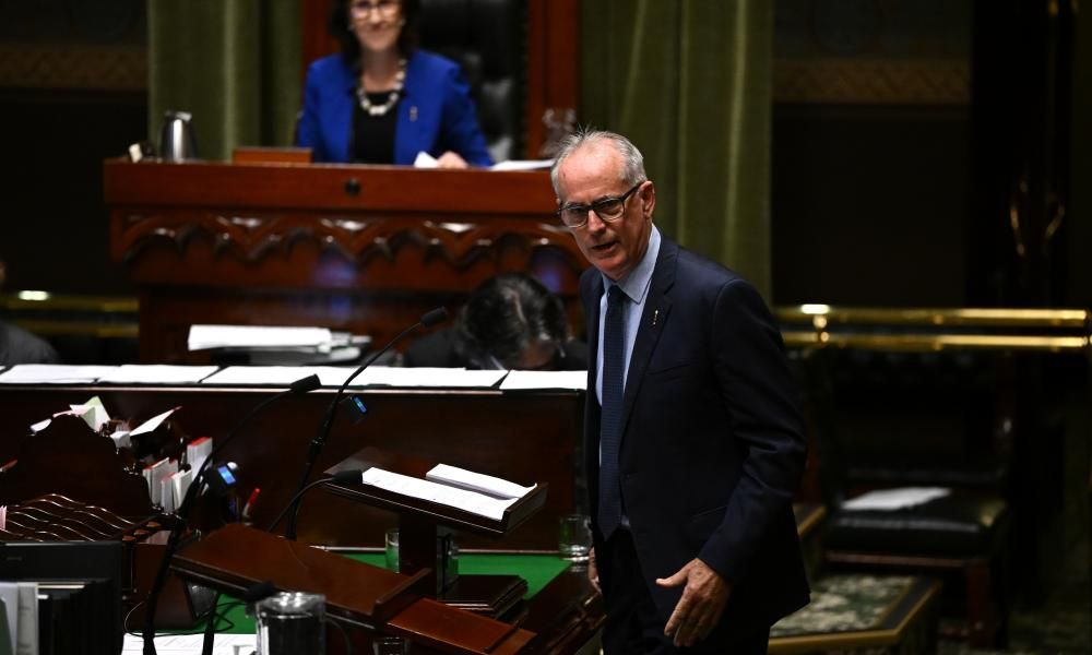 Likely NSW speaker Greg Piper wants to bring ‘bear…