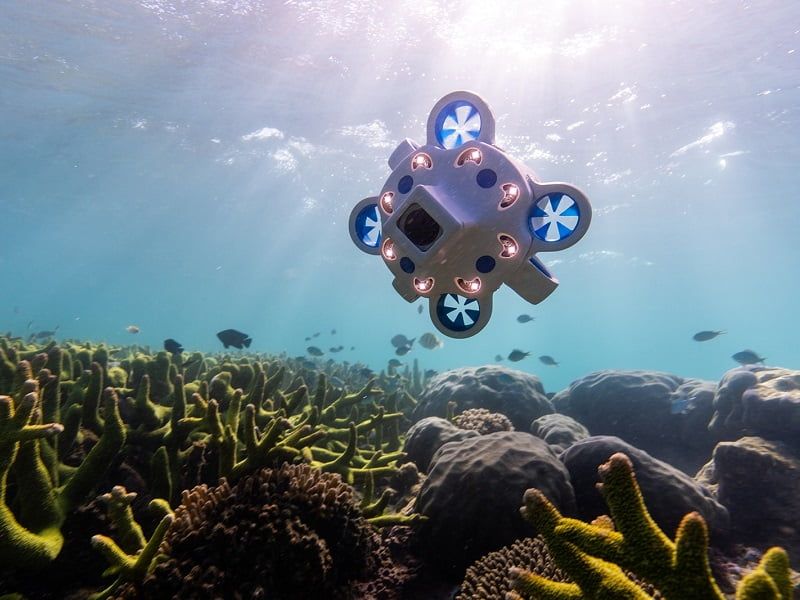 Australia’s biggest subsea robotics centre opens in…