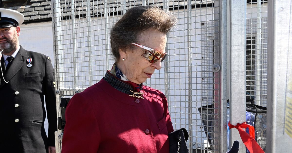 Princess Anne sends subtle message with well-chosen…