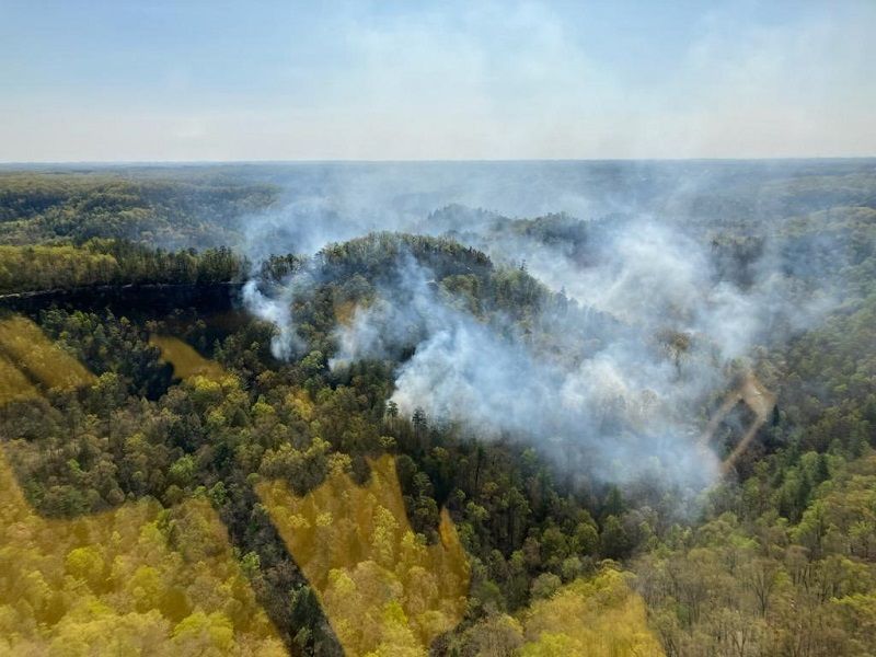 Fire shuts down Natural Bridge State Resort Park Fire shuts down Natural Bridge State Resort Park